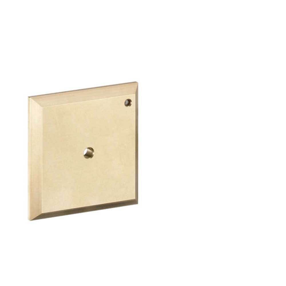 Hansgrohe Flushing Board Icontrol